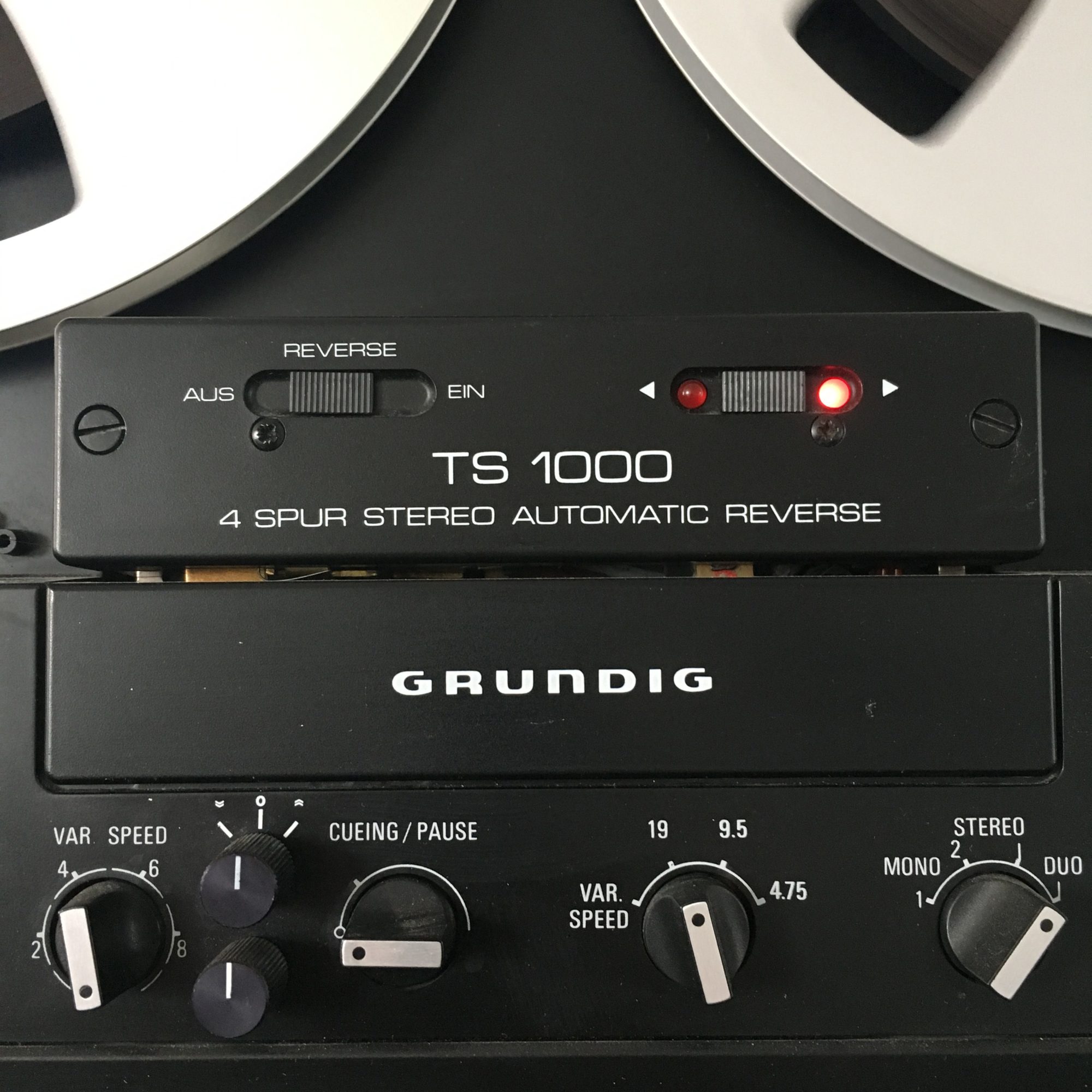 TS1000 Fieber - TS1000.DE